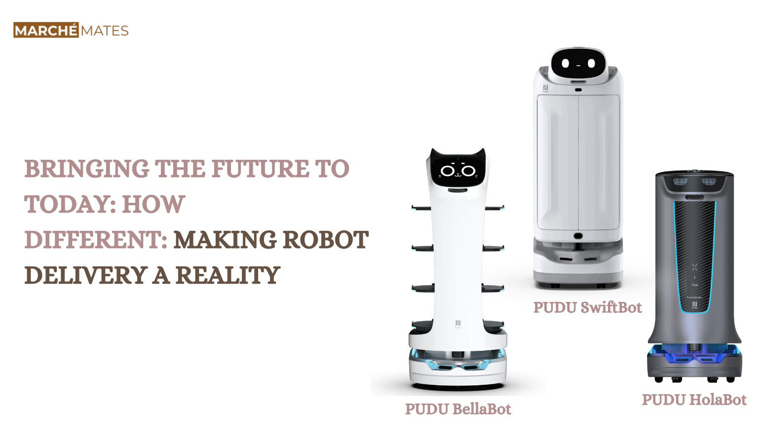 Innovative Delivery Robots in Saskatchewan | Marche Mates